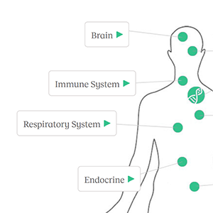 How Myotonic Dystrophy Affects Your Body | Myotonic Dystrophy Foundation